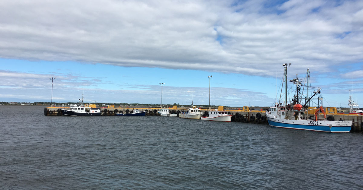 La ville de la semaine: Shippagan - URBANIA